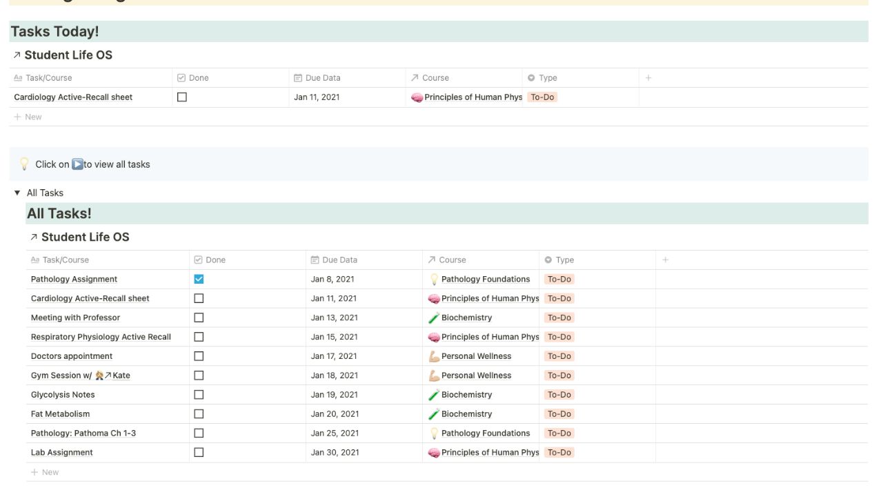 10 Best Notion Medical School Templates ( Free & Paid)